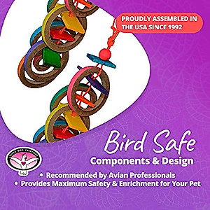 Super Bird Creations SB625 Olympic Rings Bird Toy, Large Bird Size, 15” x 4” x 4”