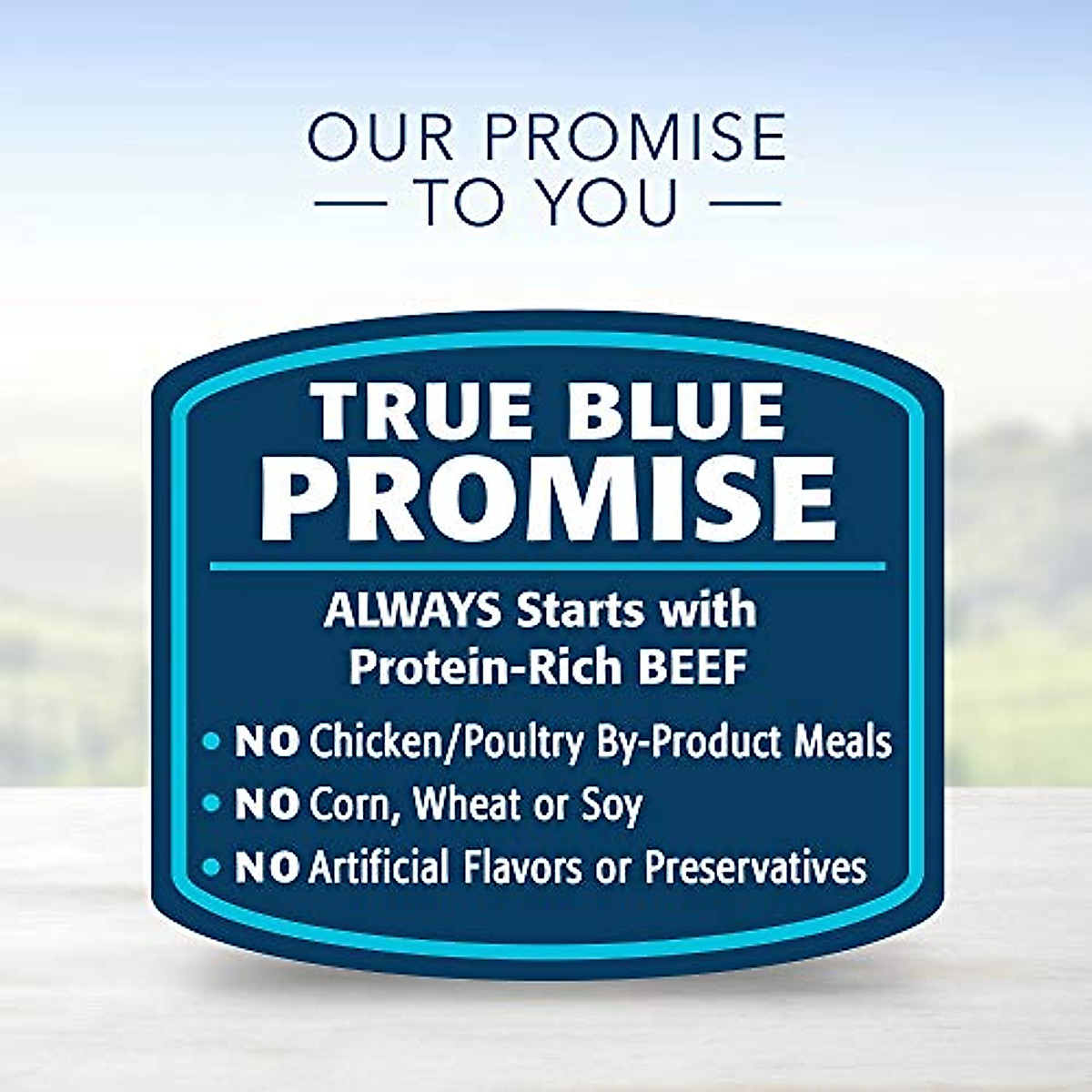 Blue Buffalo Homestyle Recipe Natural Adult Wet Dog Food, Beef 12.5-oz can (Pack of 12)