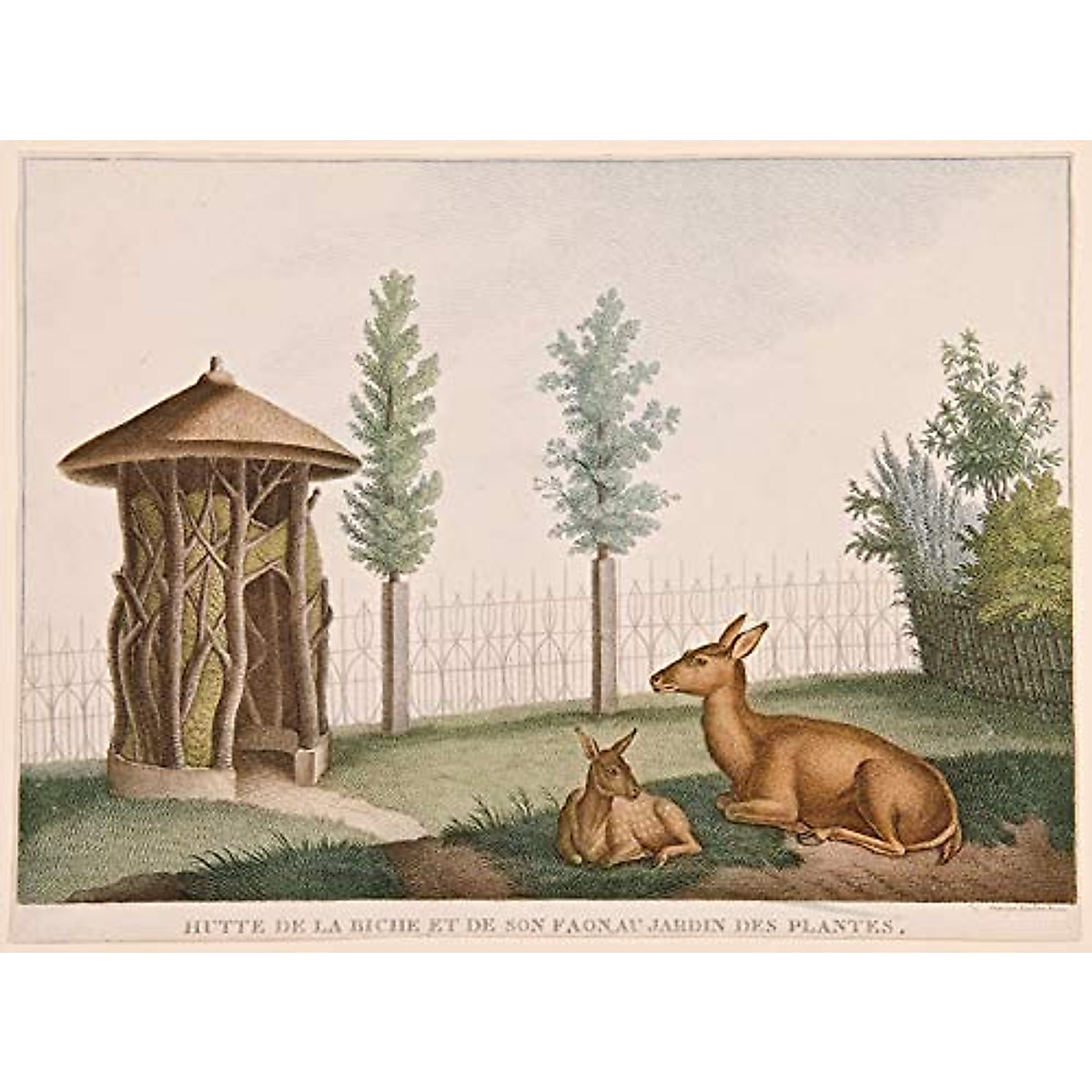 [Set of four prints of animals in the 'Jardin des Plantes' in Paris]