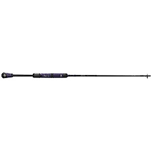 Lew's Team Lew's Pro-Ti Speed Stick 6'9"-1 Medium Light Fast Spinning Rod