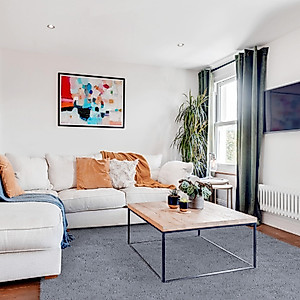 FVVRAX Fluffy Large Area Rug for Bedroom Living Room, 4x6 Grey Rug Shaggy Carpet for Bedroom, Soft Fuzzy Shag Carpet for Kids Boys Girls Room, Plush Throw Nursery Rug for College Dorm Home Decor