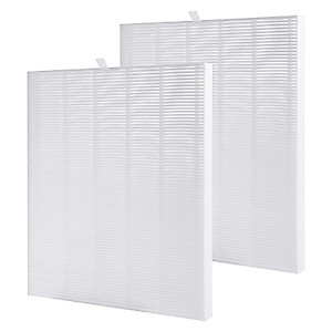 DIFUY Home Wall Hanging Bedroom Natural Living Room Decoration-Environmental Friendly and Durable Household Supplies, 2 True HEPA FiltersL8