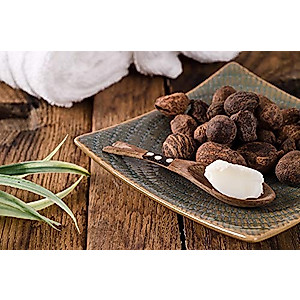 Savannah Hair Therapy Bundle - Just Curly Shampoo (16.9 oz) + Conditioner (16.9 oz) Shea Butter, Cotton and Silk Protein and Vitamin B6 - For Dry, Curly and Damaged Hair