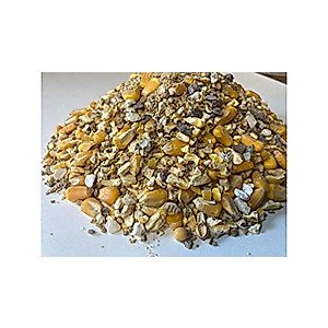 Bearded Hen - Wild Turkey Scratch Feed Supplement - All Natural Vitamin Fortified w/ Oyster Shell Calcium - Game Bird Attractant (3 Pounds)