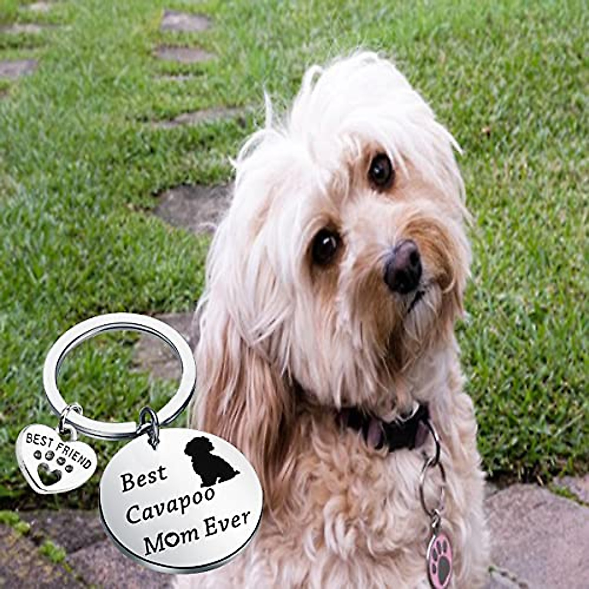 Lywjyb Birdgot Best Cavapoo Mom Ever Keychain Dog Lover Best Friend Cavapoo Gift (Best Cavapoo ky)