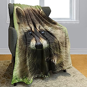 HommomH Raccoon Blanket Animal Pattern Digital Print Fleece Throw Cute Little Raccoon 60"x80"