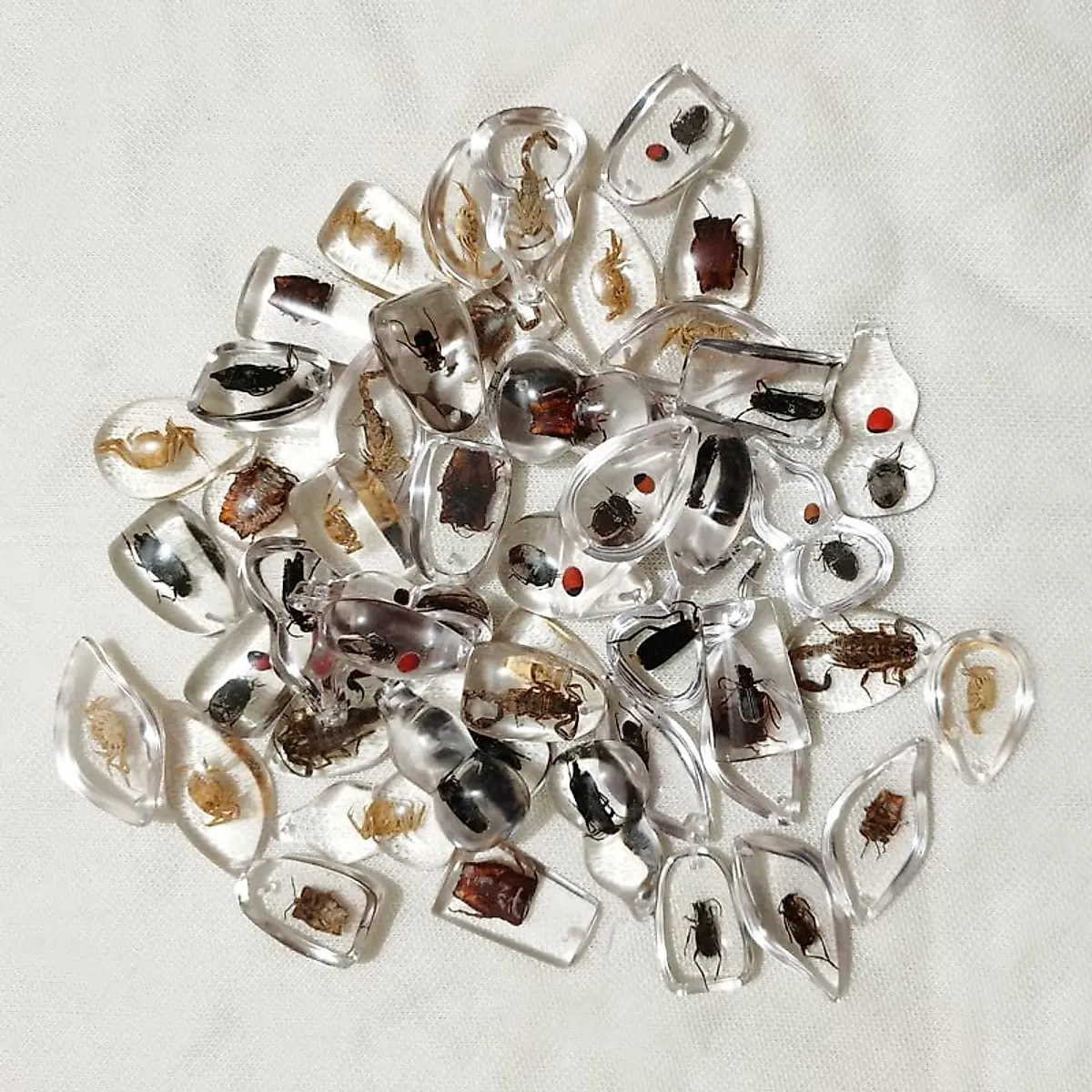 Multiple Psc Insect Amber Fossils, Luminous Amber Fossil Pendants, Educational and Scientific Amber Collections (12Pcs)