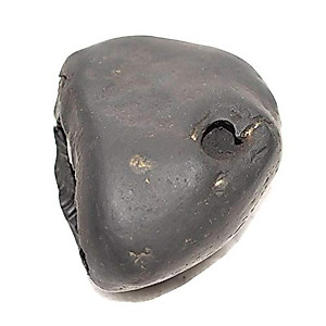 Rudrakshguru Rama Shaligram - Gandaki River Nepal