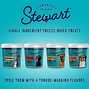 Stewart Freeze Dried Dog Treats, Wild Salmon, Grain Free & Gluten Free, 9.5 Ounce Resealable Tub, Single Ingredient, Dog Training Treats