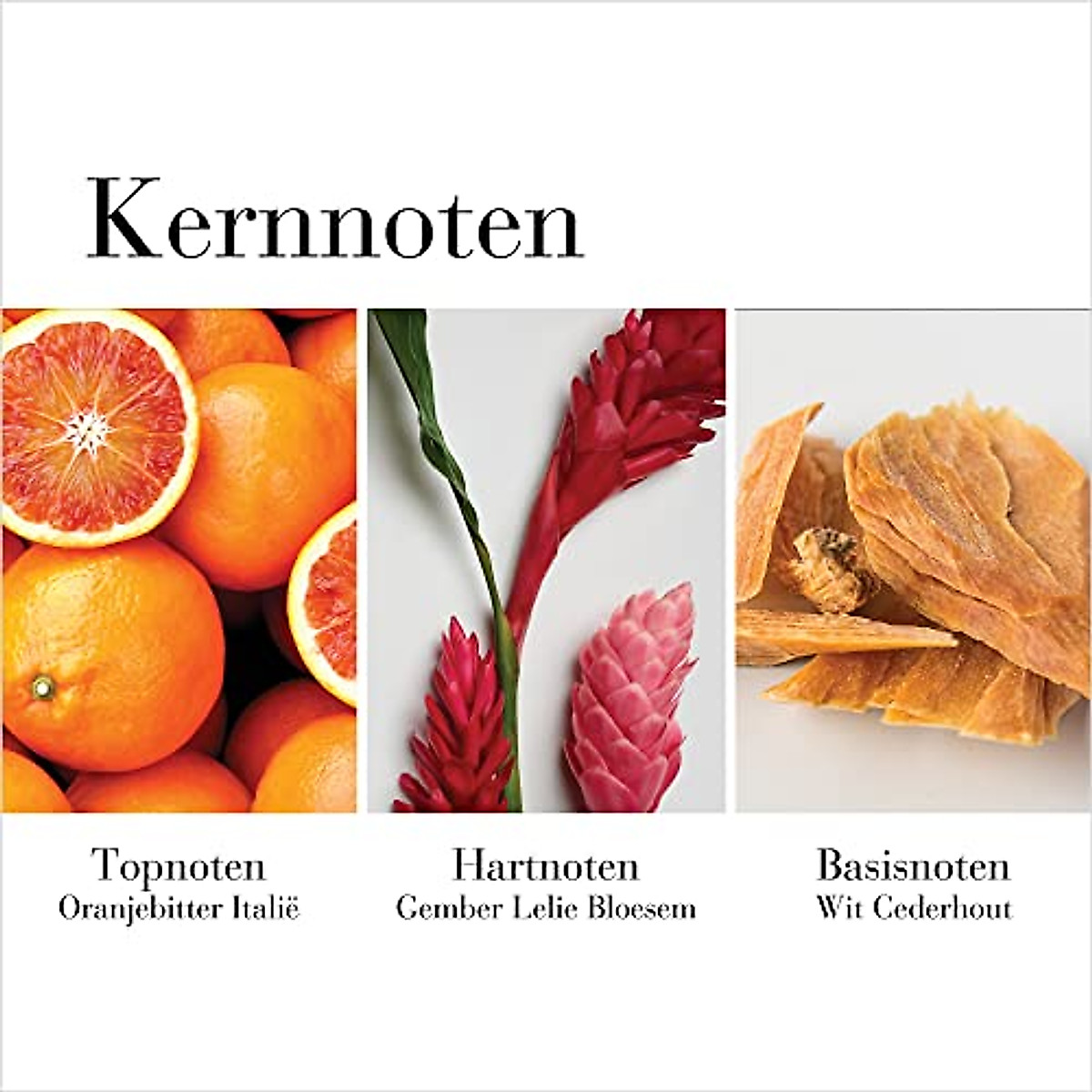 Elizabeth Arden White Tea Ginger Lily Eau de Toilette Spray, Perfume for Women, 3.3 oz.