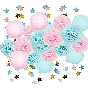 Twinkle Twinkle Little Star Gender Reveal Party Supplies Baby Shower Decorations Baby Blue Pink Paper Lanterns Pink Blue Gold Star Garland for Pink Blue Decorations/Gender Reveal Decorations