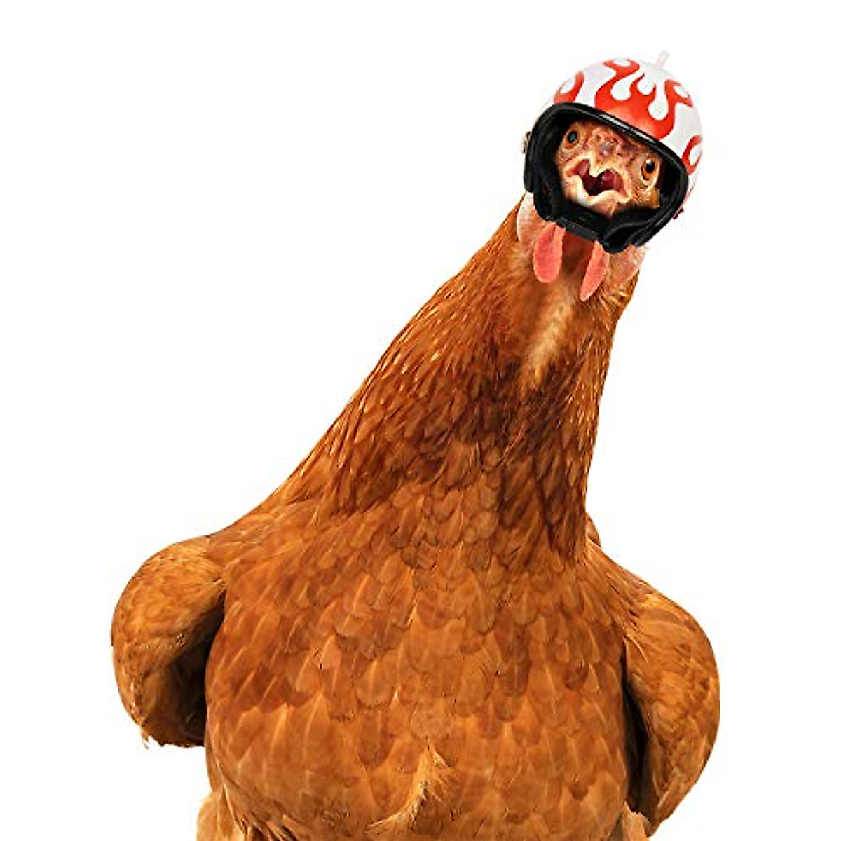 Genriq 10PCS Chicken Helmet - Chicken Bird Toy Head Protection Helmet Bird Hat Headwear Suitable for Parrot Small Chickens, Ducks and Other Poultry Funny Pet Safety Helmet Costumes Accessories