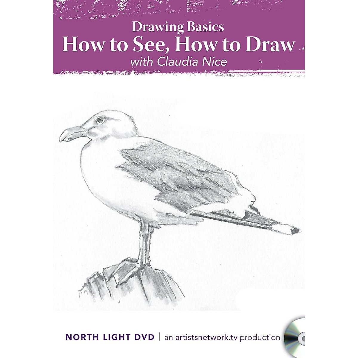 Drawing Basics, How to See, How to Draw with Claudia Nice
