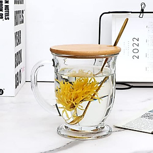 Ufrount 15 OZ Glass Mugs with Lids,Clear Glass Coffee Mugs with Handle,Classic Coffee Cups with Lids and Spoons,Latte Mugs Cappuccino Tea Mugs for Breakfast,Cereal, Milk,6 Pack