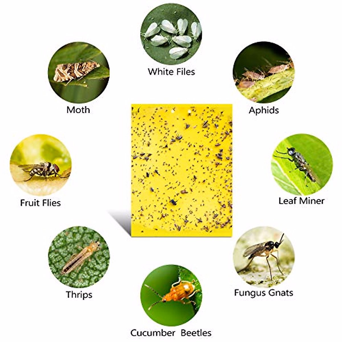 Garutom 20-Pack Dual-Sided Yellow Sticky Traps for Flying Plant Insect Such as Fungus Gnats, Whiteflies, Aphids, Leafminers, etc (6x8 Inches, Included 20pcs Twist Ties)