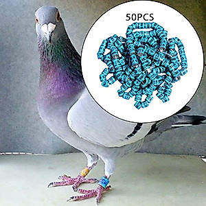 50pcs 8mm 2023 Pigeon Bands, Customized Bands for Pigeon Ring Birds Leg, Aluminum Bird Rings Leg Bands Ring Bands, Blue