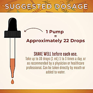 MaryRuth Organics Elderberry Syrup & Turmeric Gold Herbals Bundle Black Sambucus Liquid for Kids & Adults | USDA Organic Turmeric Gold Liquid Drops | Immune System Support | Non-GMO, Vegan