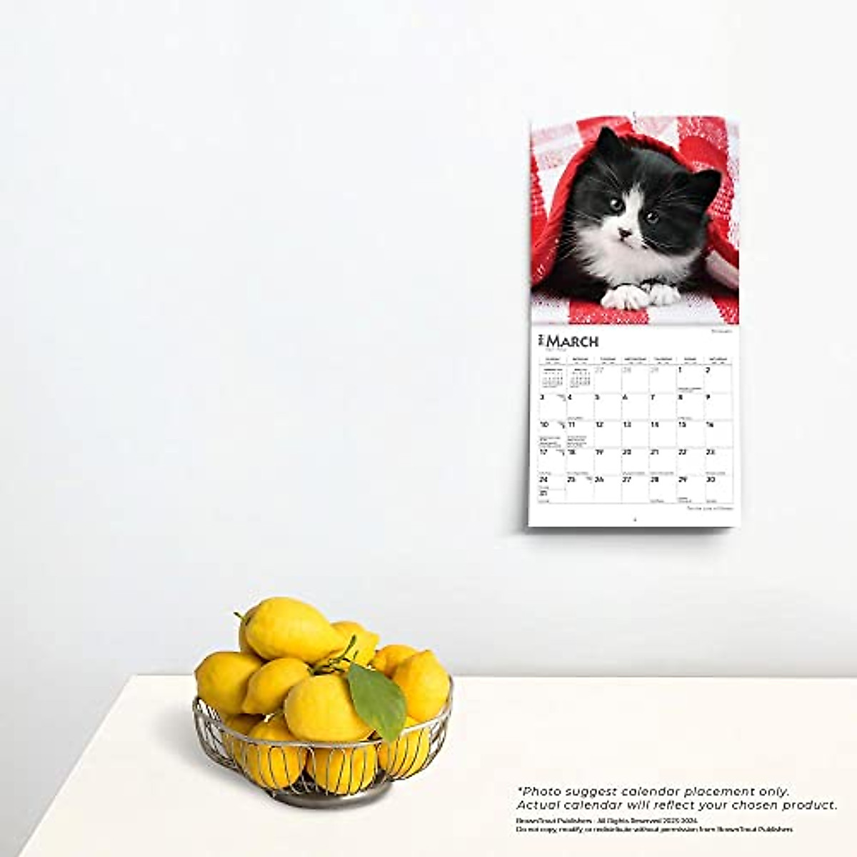 For the Love of Kittens | 2024 7 x 14 Inch Monthly Mini Wall Calendar | BrownTrout | Animals Cats Feline