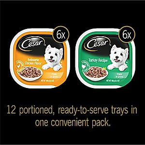 Cesar Filets in Gravy Poultry Lovers Variety Pack Wet Dog Food, 3.5 oz., Count of 12
