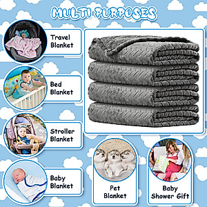 Chumia 4 Pcs Baby Blanket Flannel, Cozy Throw Fuzzy Blanket for Newborn Sherpa Blanket Crib(Light Gray, 24 x 32 Inch)