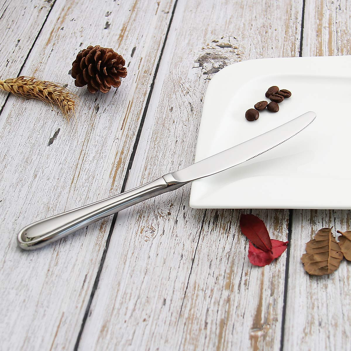 faderic 6-Piece Dinner Knives Set with Hollow Handle Table Knife Flatware Stainless Steel Mirror Polishing 9-Inch Silver Round