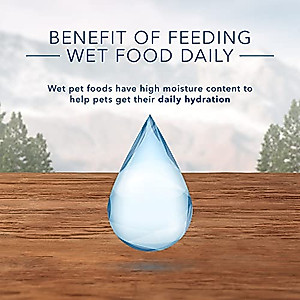 Blue Buffalo Wilderness High Protein Grain Free, Natural Kitten Pate Wet Cat Food Variety Pack, Chicken, Salmon 3-oz (6 Count- 3 of Each Flavor)