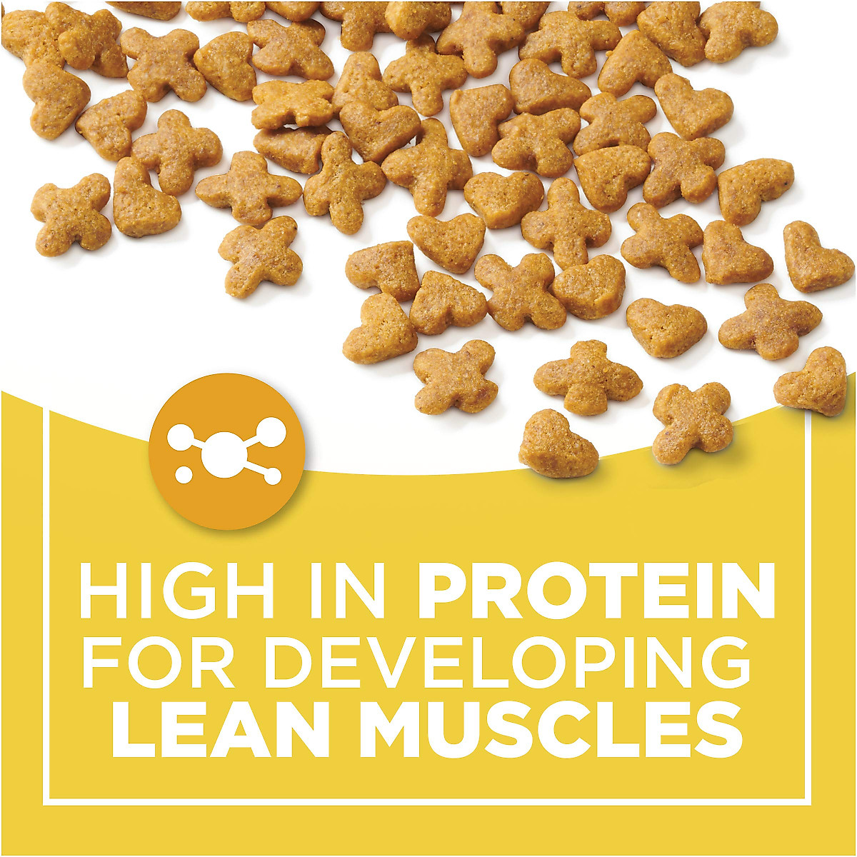 Purina Kitten Chow Nurture Kitten Dry Cat Food, 3.15 LB (Pack of 2)