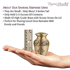 Trupoint Memorials Cremation Urns for Human Ashes - Decorative Urns, Urns for Human Ashes Female & Male, Urns for Ashes Adult Female, Funeral Urns - Bronze, 1 Small Keepsake