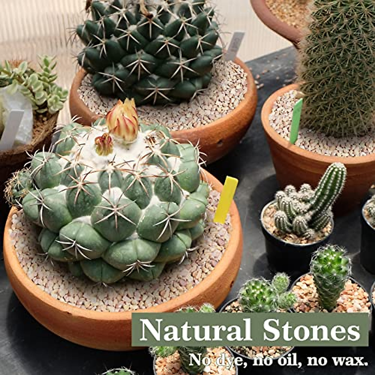 Future Way 5lbs Pea Gravel for Plants, Fish Tank, Aquarium, Terrarium, Succulent, 3/8 Inch Small Pebbles for Indoor and Outdoor Decor