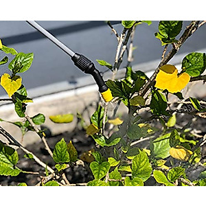 Pumpless Battery Powered Sprayer