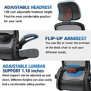 Ergonomic Office Chair, Home Office Desk Chair with Adjustable Headrest & Lumbar Support. High Back Mesh Computer Chair with Thickened Cushion &Flip-up Armrests, Task Executive Chair (Graphite)