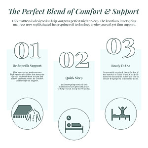 Greaton 10 Inch Foam Encased Mattress with Eurotop, Comfy, and Soft Plush Mattresses Provide Soothing Sleep, Complete Body Support, and Pressure Relief, Full XL