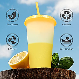 VASOLERIA Color Changing Cups with Lids and Straws 9pcs, 24Oz - Reusable Cups with Lids in 9 Multiple Colors - Perfect for Cold Coffee, Smoothie – Bonus 2 Cup Cleaning Brush & 2 Straw Cleaning Brushes