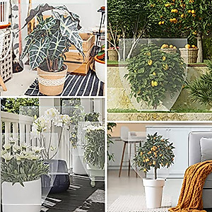 2 Pcs Insect Bird Barrier Netting Bag with Drawstring 2.6 x 3.3ft Garden Netting Bugs Plant Cover for Protect Tomato Blueberry Fruits Flower from Insect Bird Eating