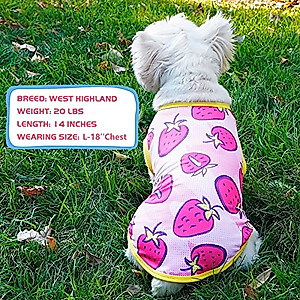 KYEESE 2 Pack Dogs Shirts Quick Dry Lightweight Dog T-Shirts with Reflective Label Tank Top Sleeveless Dog Vest for Small Dogs Puppy Clothes Strawberry Pattern Great for Summer, Large, Strawberry+Rose