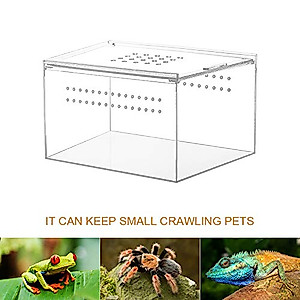 NANEEZOO Acrylic Reptile Breeding Box, 5x4x3 Inch Nano Flat/Long Enclosure Transparent Reptile Breeding Box Terrarium Cage Tank for Tarantula Scorpion Sling Isopods Invertebrates Insect Mantis