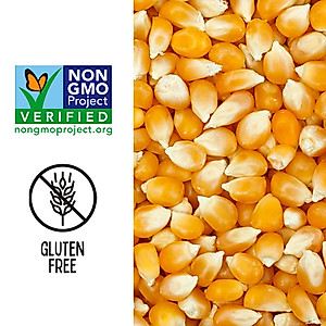 Quinn Family Farmed Gourmet Popcorn Kernels Kit, Real Butter Popcorn Seasoning (28 count) Non-GMO, Gluten Free, (1 bag)