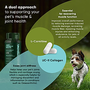 Rooted Owl Natural Supplements Joint & Muscle Health Capsules - Hip and Joint Supplements for Cats and Small Dogs with UC-II Type II Collagen and L-Carnitine - 30/ct