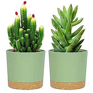 QCQHDU Plant Pots Set of 2 Pack 5 inch,Planters for Indoor Plants with Drainage Holes and Removable Base,Saucer Modern Decorative for Outdoor Garden Planters(Green 5in)