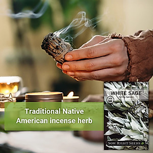 Sow Right Seeds - White Sage Seed for Planting - Non-GMO Heirloom Packet with Instructions for Planting and Growing a Home Herb Garden - Indoors or Outdoors - Make Your Own Herbal Incense (2)