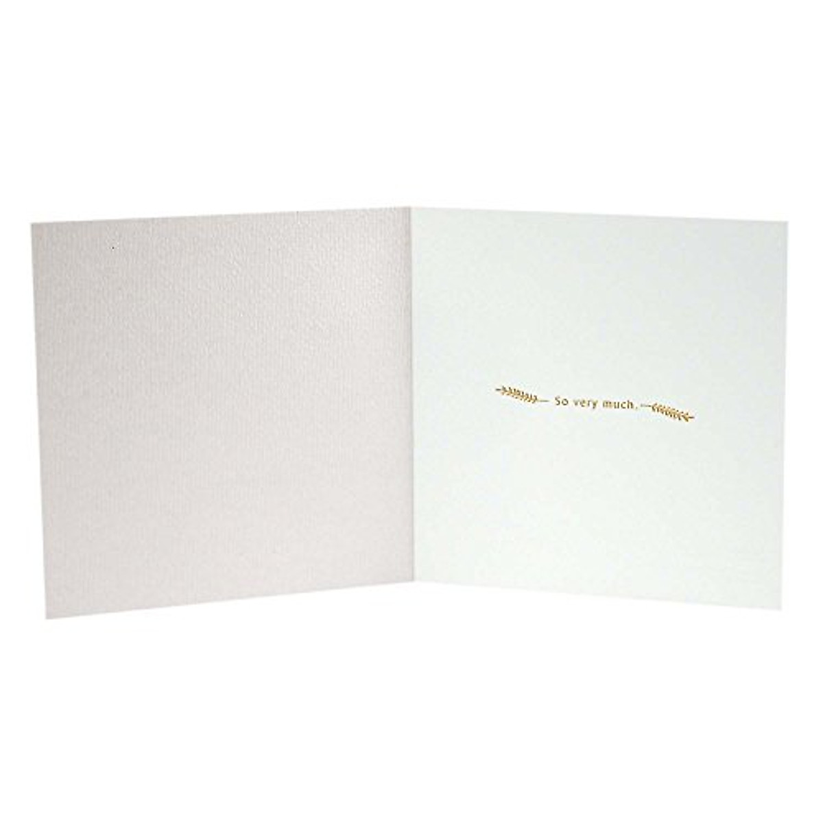 Hallmark Signature Thank You Card, Thank You So Much (Nurses Day Card, Teacher Appreciation, Healthcare Worker Gift)