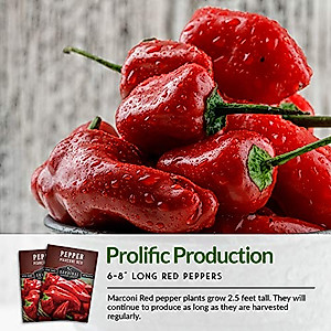 Survival Garden Seeds - Marconi Red Pepper Seed for Planting - Packet with Instructions to Plant and Grow Long Sweet Italian Peppers in Your Home Vegetable Garden - Non-GMO Heirloom Variety