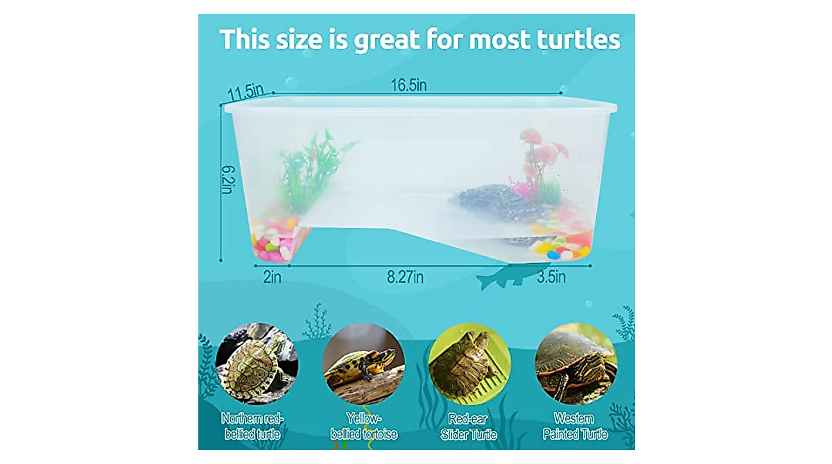 Rypet Baby Turtle Tank Starter Kit for Happy Turtles
