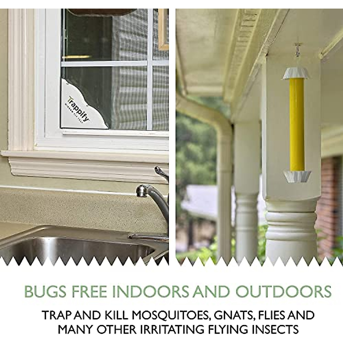 Trappify Sticky Gnat and Fly Traps, Fly Stick Strap & Window Fly Trap ...