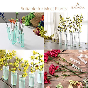 BEADNOVA Flower Water Tubes 2.8 Inch Plastic Water Tubes for Flowers Floral Vials with Caps for Decoration Flower Arrangement (Clear, 60 Pcs)