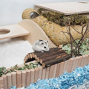 YASYU Hamster Wooden Bridge Bendable,Wooden Bendy Bridge Toys,Wooden Tunnel,Natural Rat Climbing Ladder,Small Animal Cage Accessory for Dwarf Syrian Hamsters Mice Guinea Pig Chinchilla
