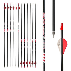 Hunting Archery Carbon Arrow 400 Spine with 2.5″ Vanes Removable Tips for Compound Bow &Recurve Bow (30 Inch)