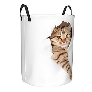 Gbuzozie Cute Cat In White Hole Round Laundry Hamper Storage Basket Toys Clothes Organizer Bin For Home Bathroom Bedroom Dorm Nursery, 62l