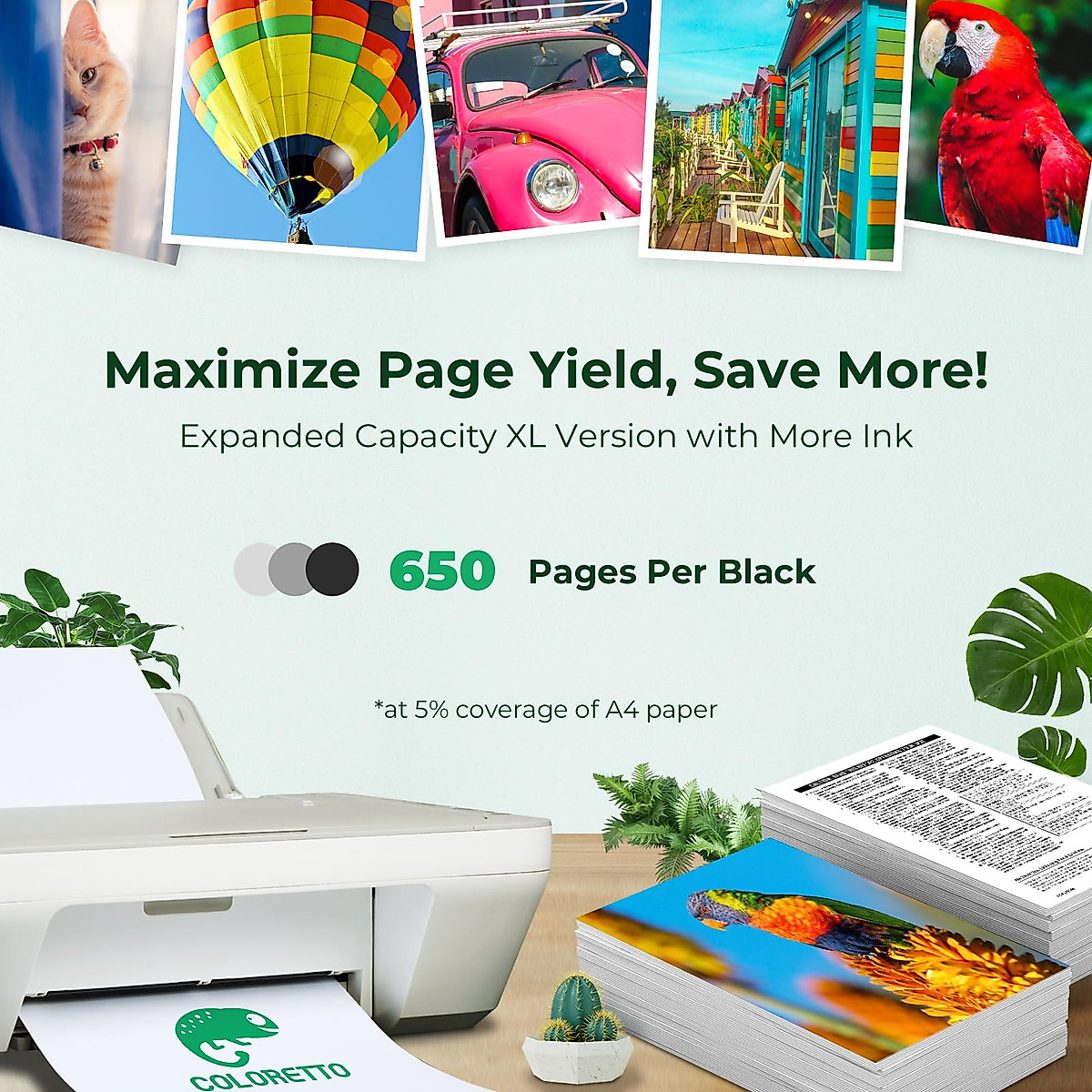 COLORETTO 62XL Ink Cartridge for HP Envy 7645 7640 5540 5642 5643 5640 5660 Officejet 5740 5746 5745 200 250 258 Printers as Replacement of HP 62 XL 62xl hp62xl hp62 High Yield Ink (1 Black)