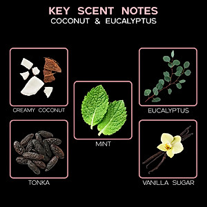 LOVSPA Coconut & Eucalyptus Reed Diffuser Oil Set - Scented Stick Room Freshener - Creamy Coconut, Eucalyptus, Mint, Tonka, Vanilla Sugar - Made in The USA